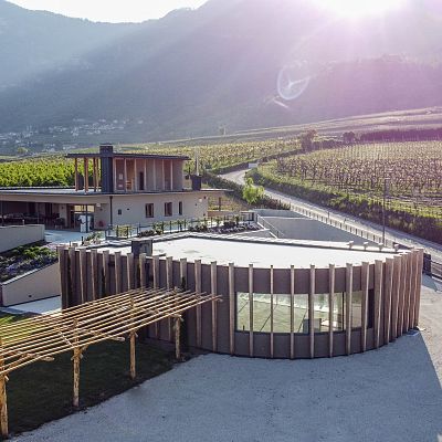 Weingut Moser